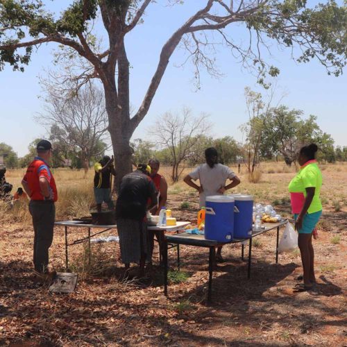 RN Employment Services - RN Employment Services